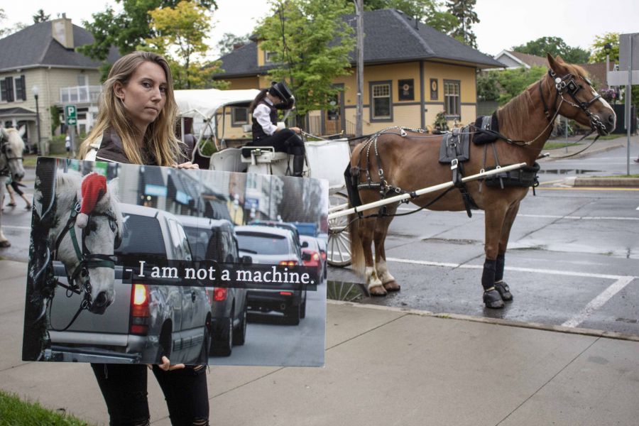NOTL Man Arrested Over Incident With Carriage Protester