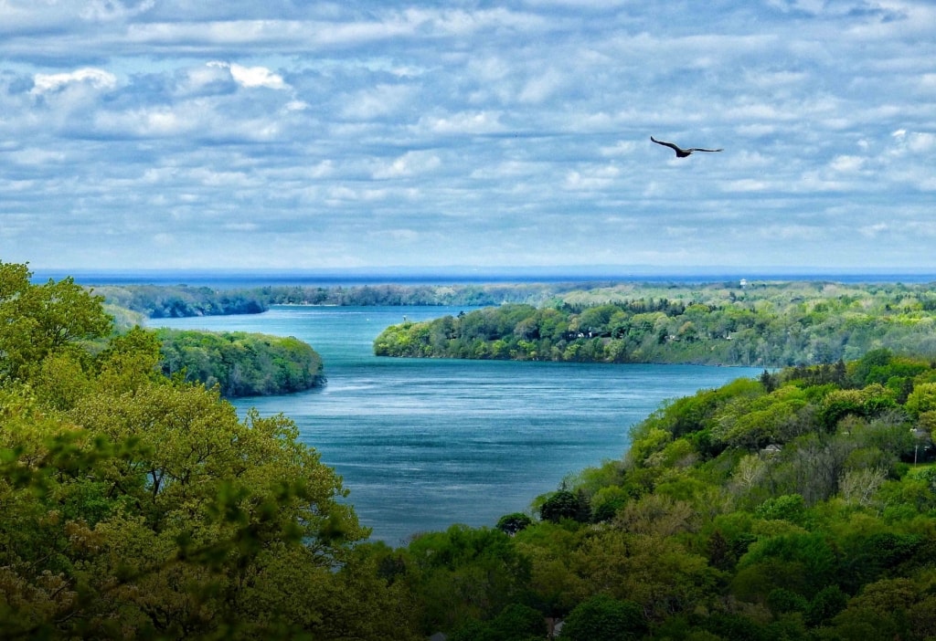 RiverBrink aids asylum seeker who crossed Niagara River