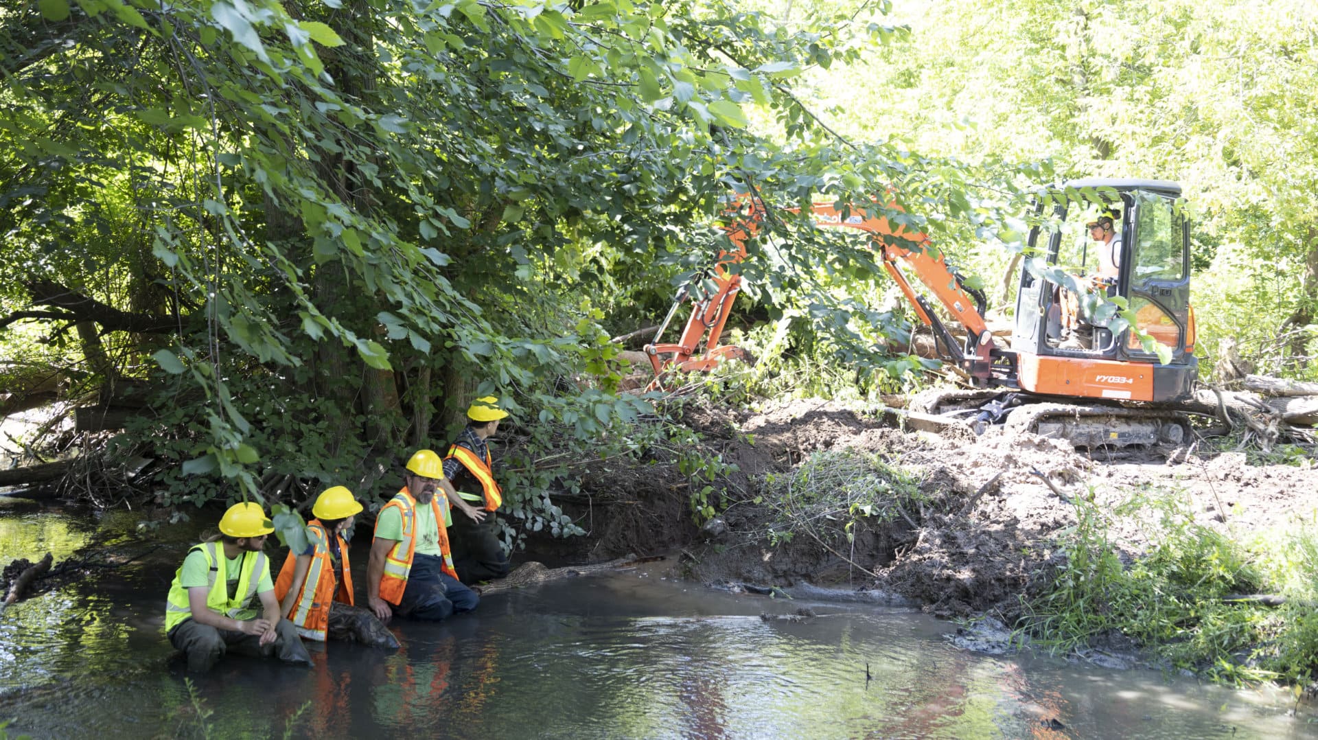 Habitat restoration continues at Two Mile Creek with new installation