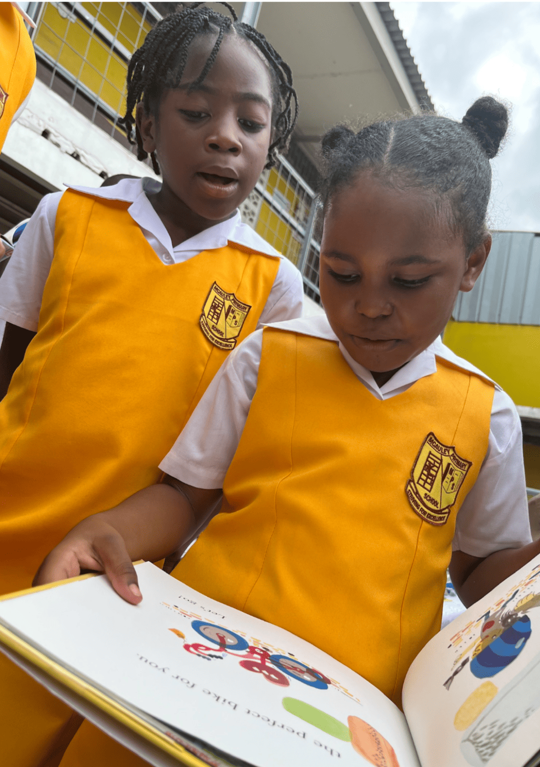 Literacy-loving residents donate thousands of books to Jamaican schools