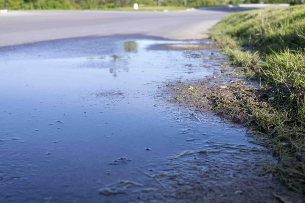 Mystery solved: What causes wet spot at Navy Hall?