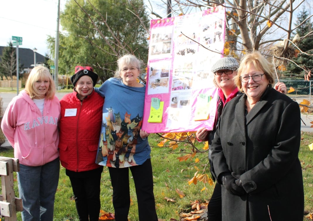 Fundraiser for rescue group is the cat’s meow