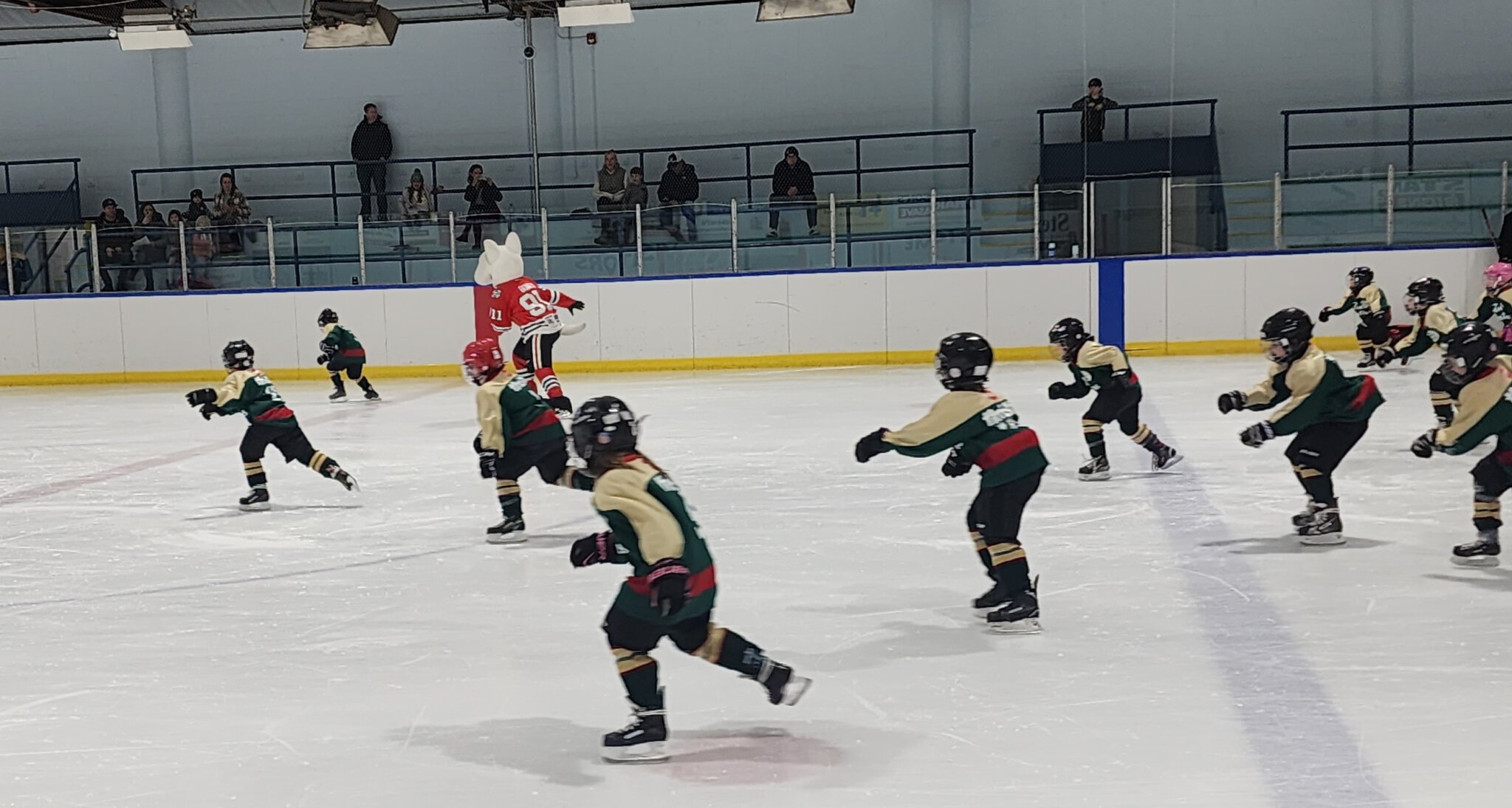 PHOTO GALLERY: Sports: IceDogs and mascot Bones practise with NOTL teams