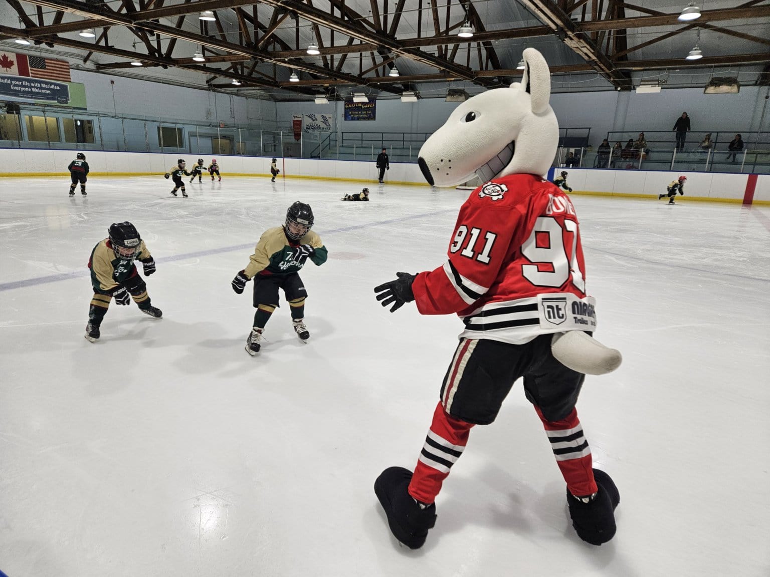 PHOTO GALLERY: Sports: IceDogs and mascot Bones practise with NOTL teams