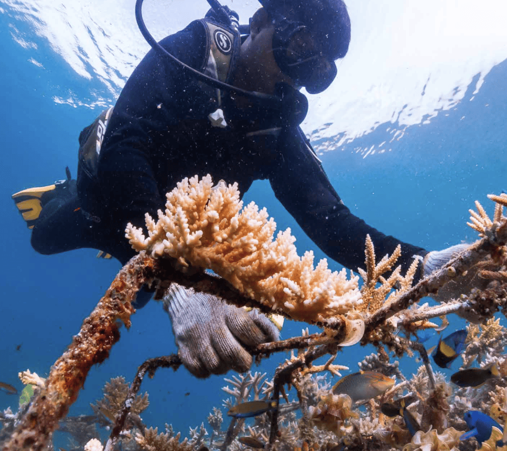 Goettler Foundation, NOTL Rotary partner on coral reef project