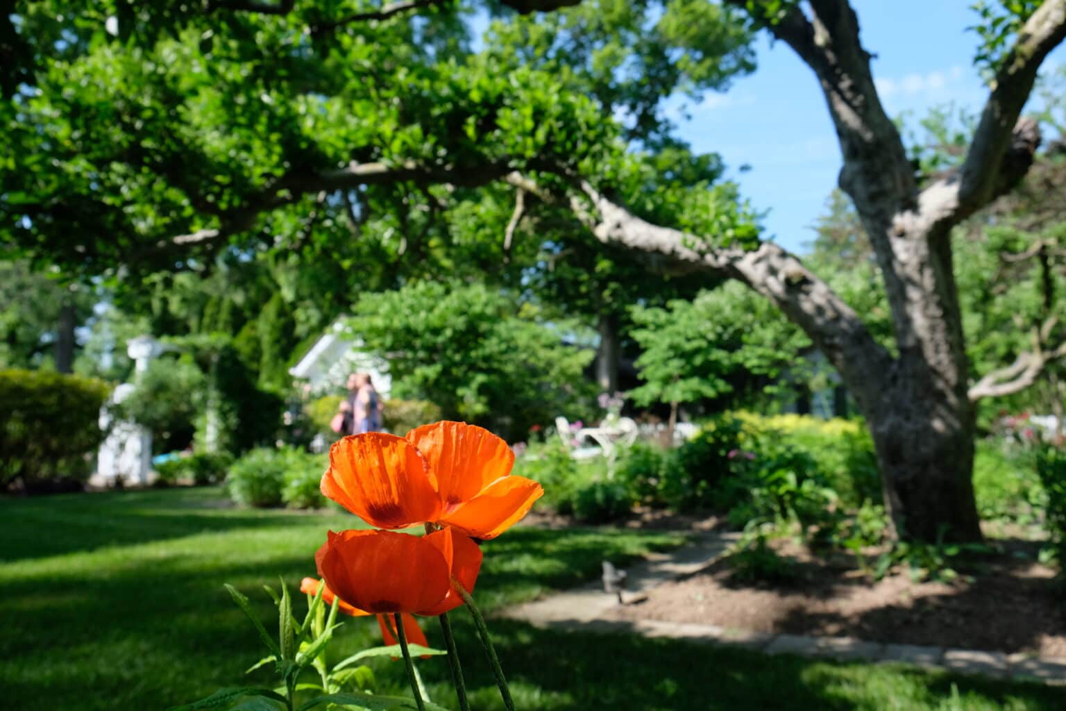 Shaw Guild Garden Tour primed to wow your senses