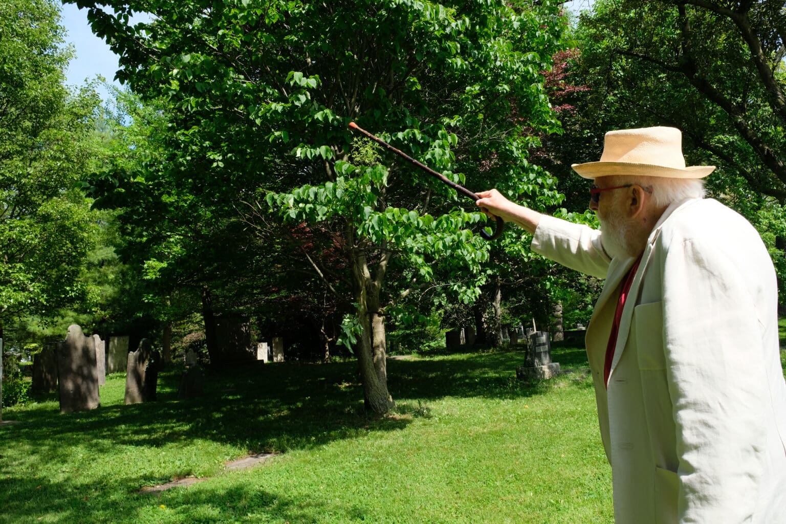 St. Mark's cemetery tree garden hits milestone